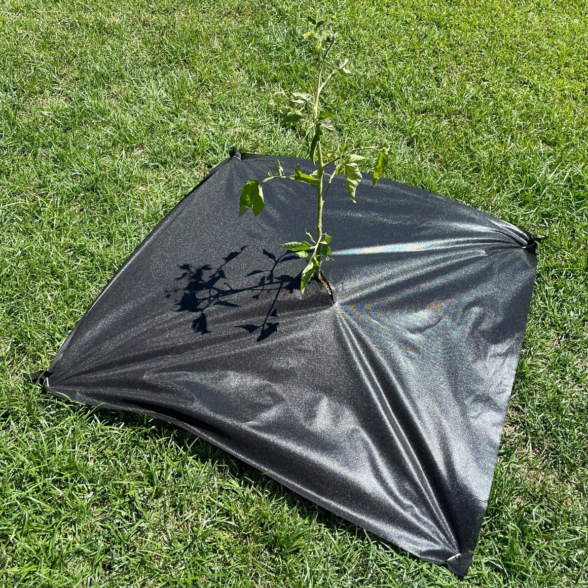 Ground Cover Rolls: Landscape Fabrics, Jute Netting – Sandbaggy